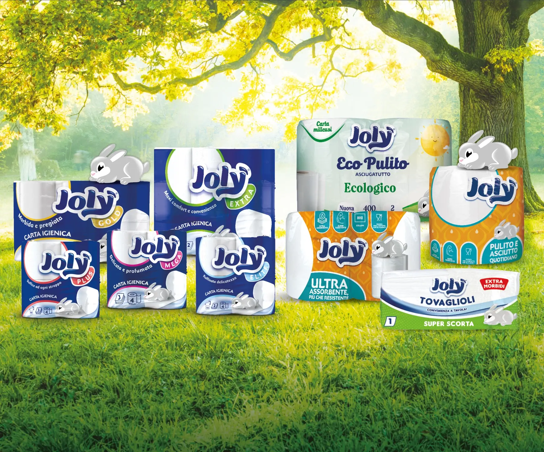 Joly | Allcool ADV